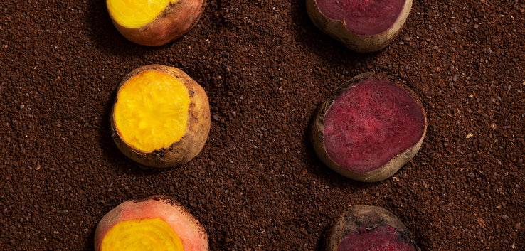 Coffee Roasted Beets Recipe | Kaldi's Coffee At Home